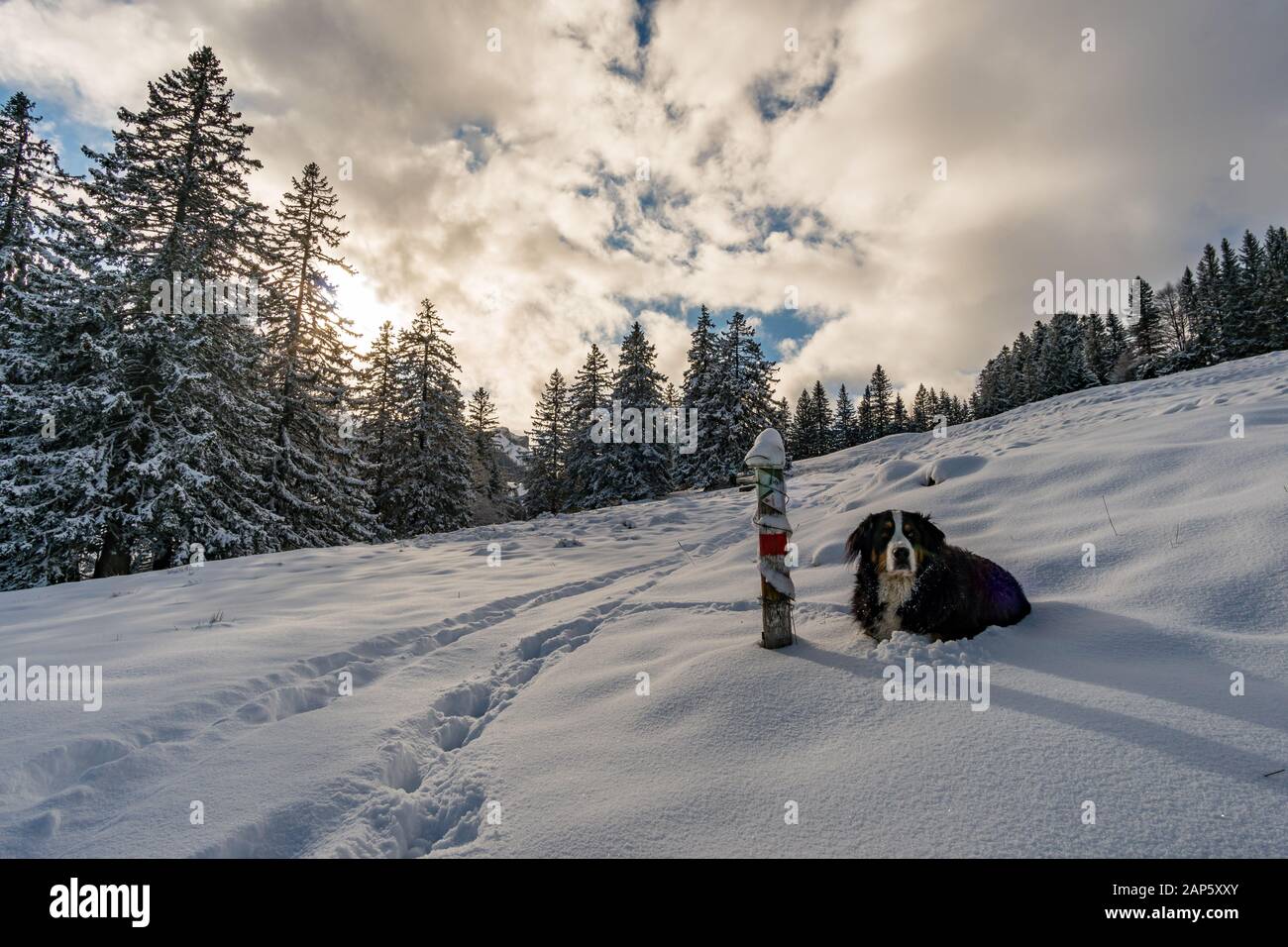 Appenzeller land snow hi-res stock photography and images - Alamy