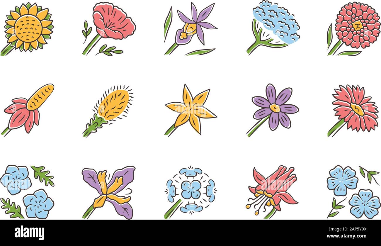 Wild flowers color icons set. Spring blossom. California wildflowers ... Wild flowers color icons set. Spring blossom. California wildflowers ...