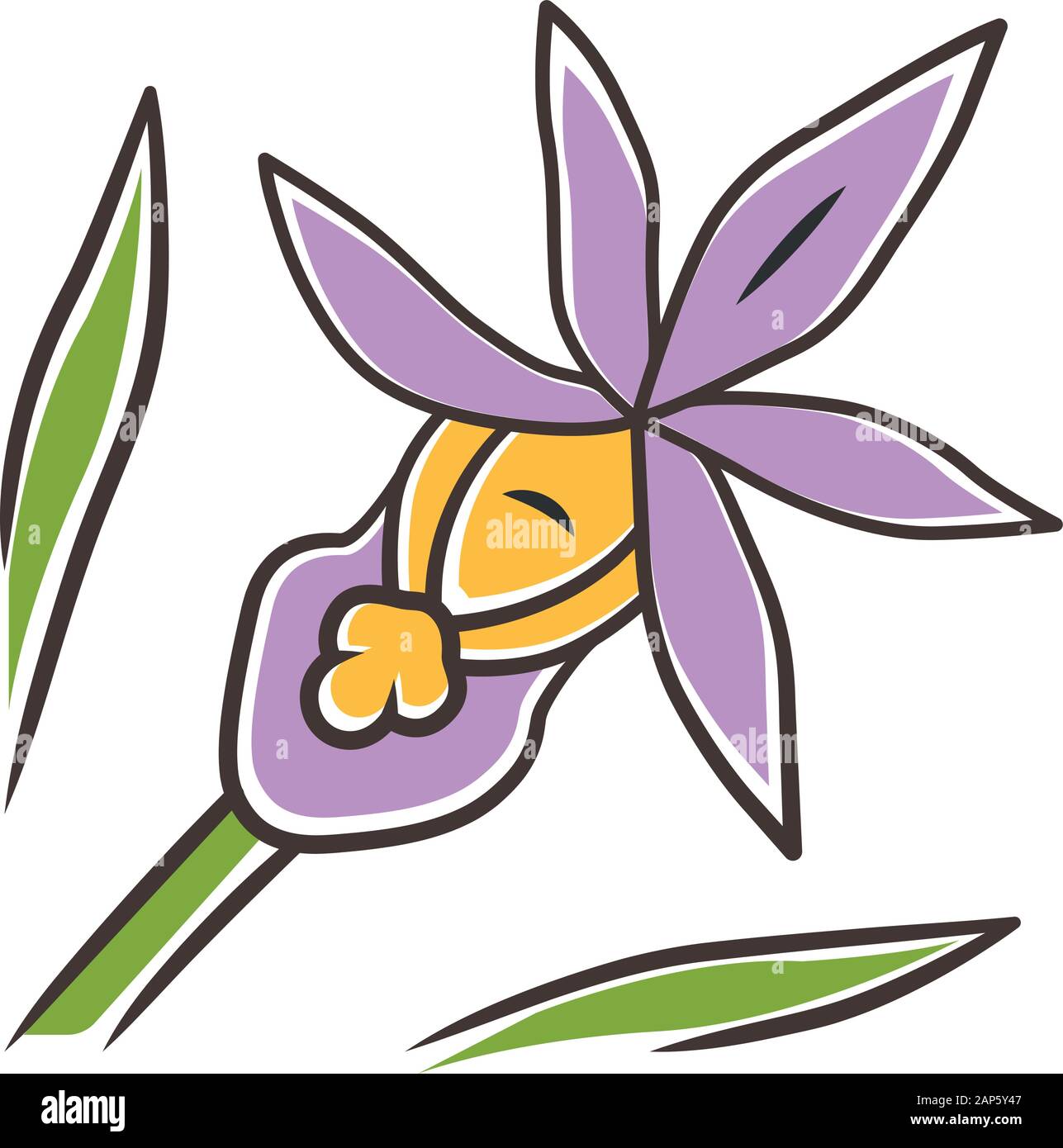 Calypso orchid purple color icon. Exotic, tropical blooming flower ...