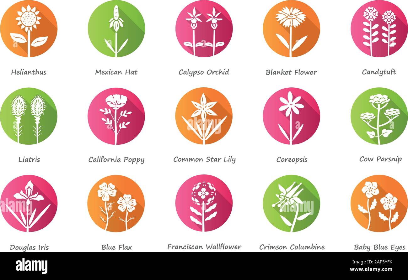 California botanic garden Stock Vector Images - Alamy