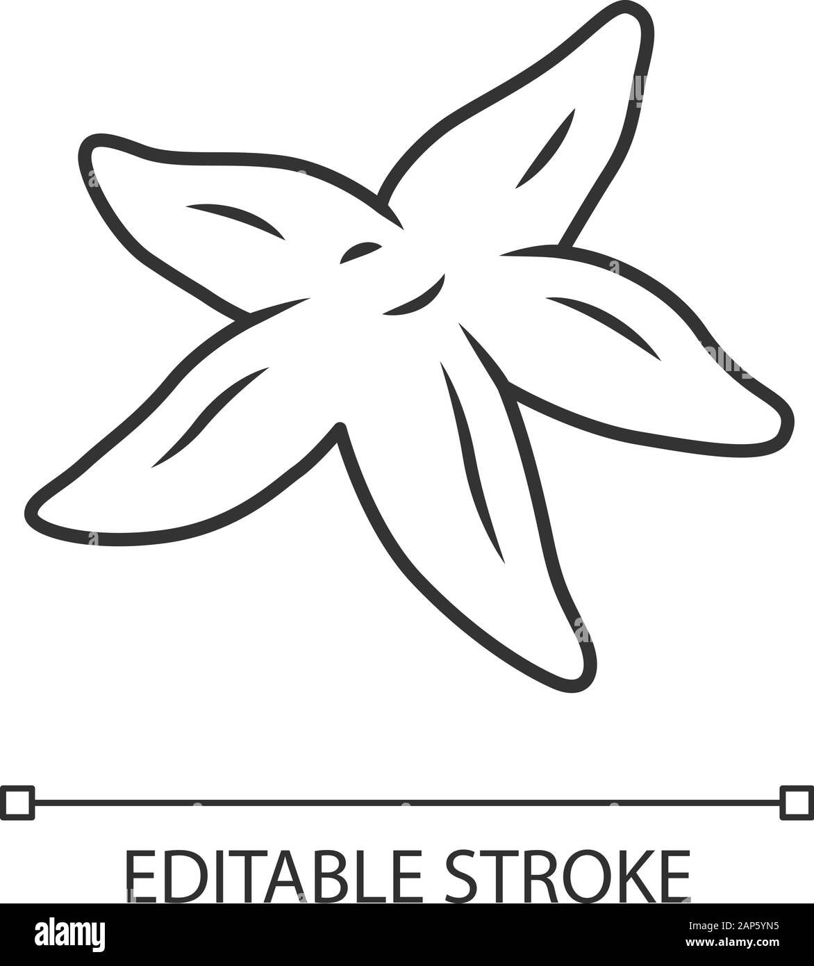 Starfish linear icon. Tropical underwater creature. Invertebrate ...