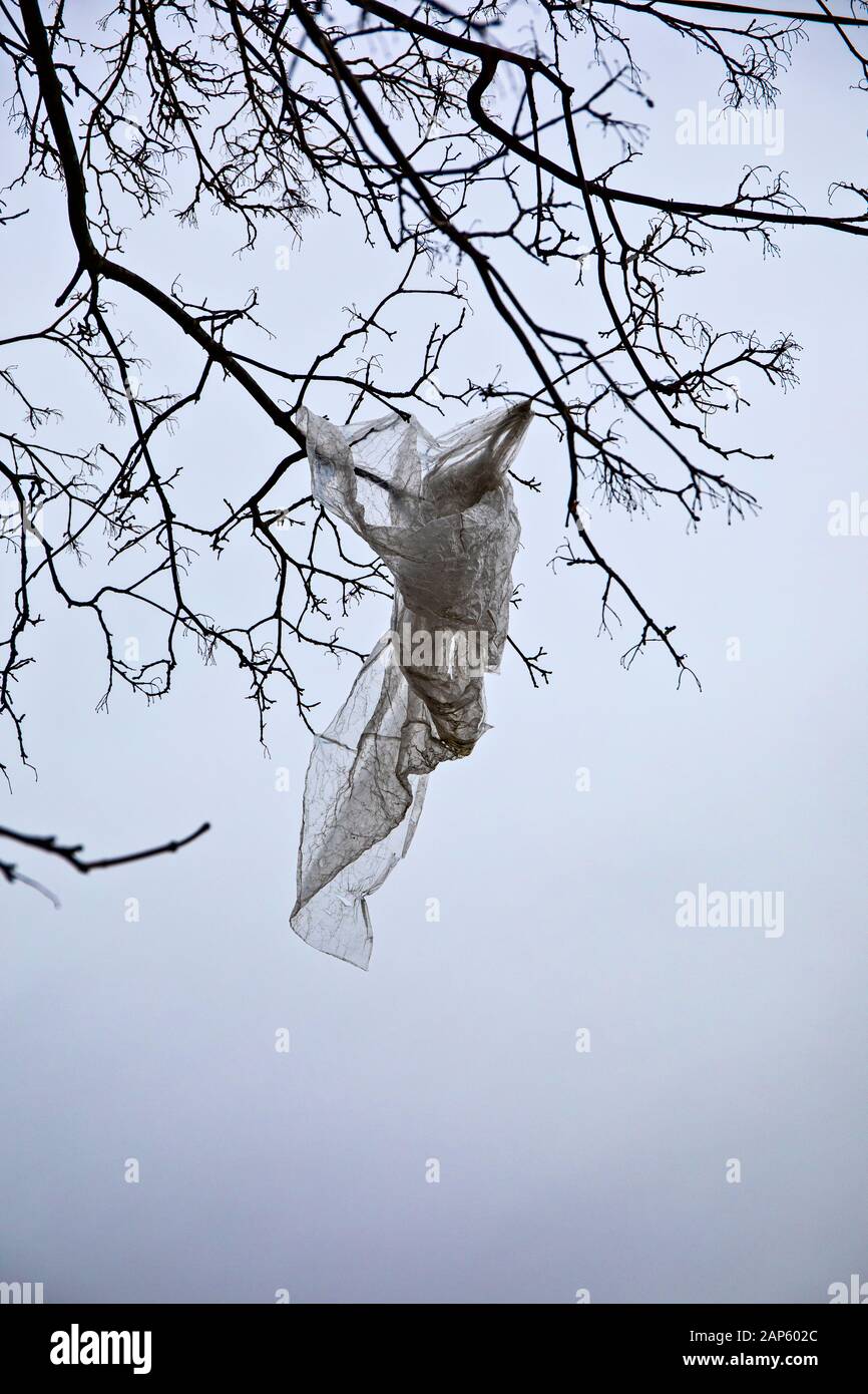 Plastic litter caught in bare tree Stock Photo - Alamy