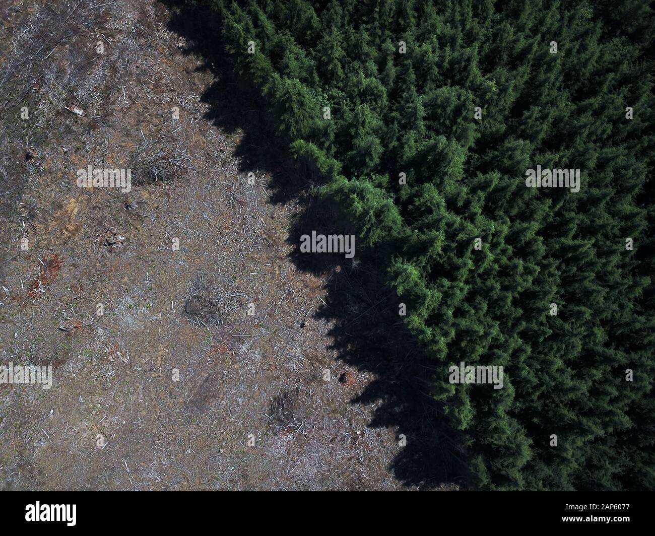 Drone aerial Clear cut logging Olympic Peninsula Stock Photo - Alamy