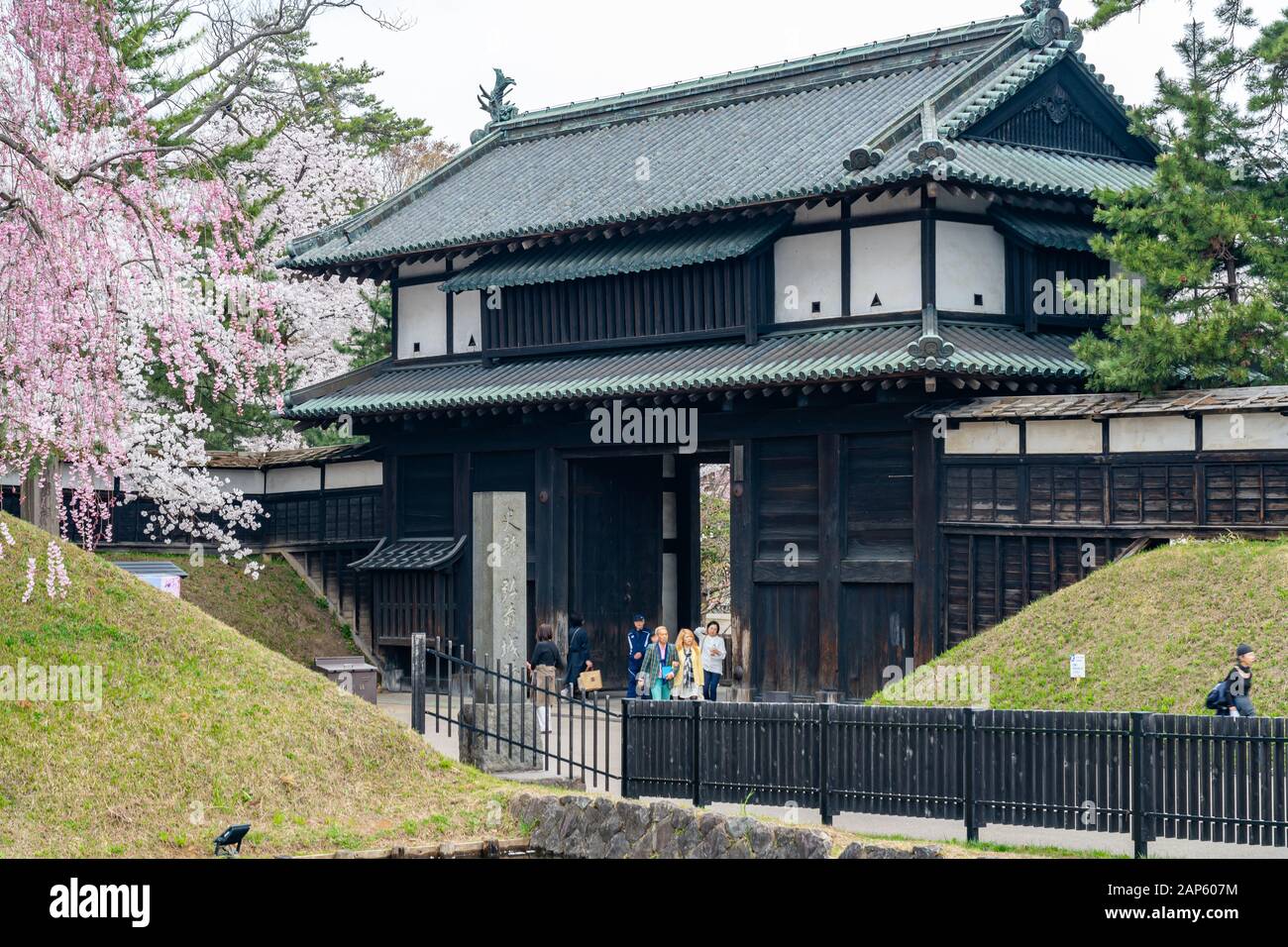 Hirosaki Park in springtime cherry blossom season sunny day at Otemon ...