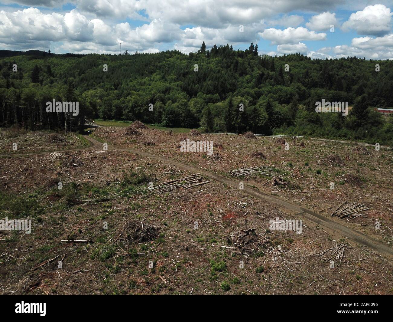 Drone aerial Clear cut logging Olympic Peninsula Stock Photo - Alamy
