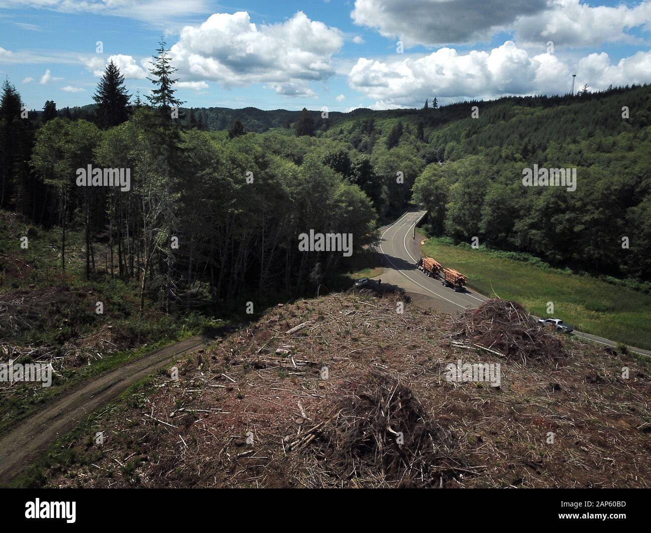 Drone aerial Clear cut logging Olympic Peninsula Stock Photo - Alamy