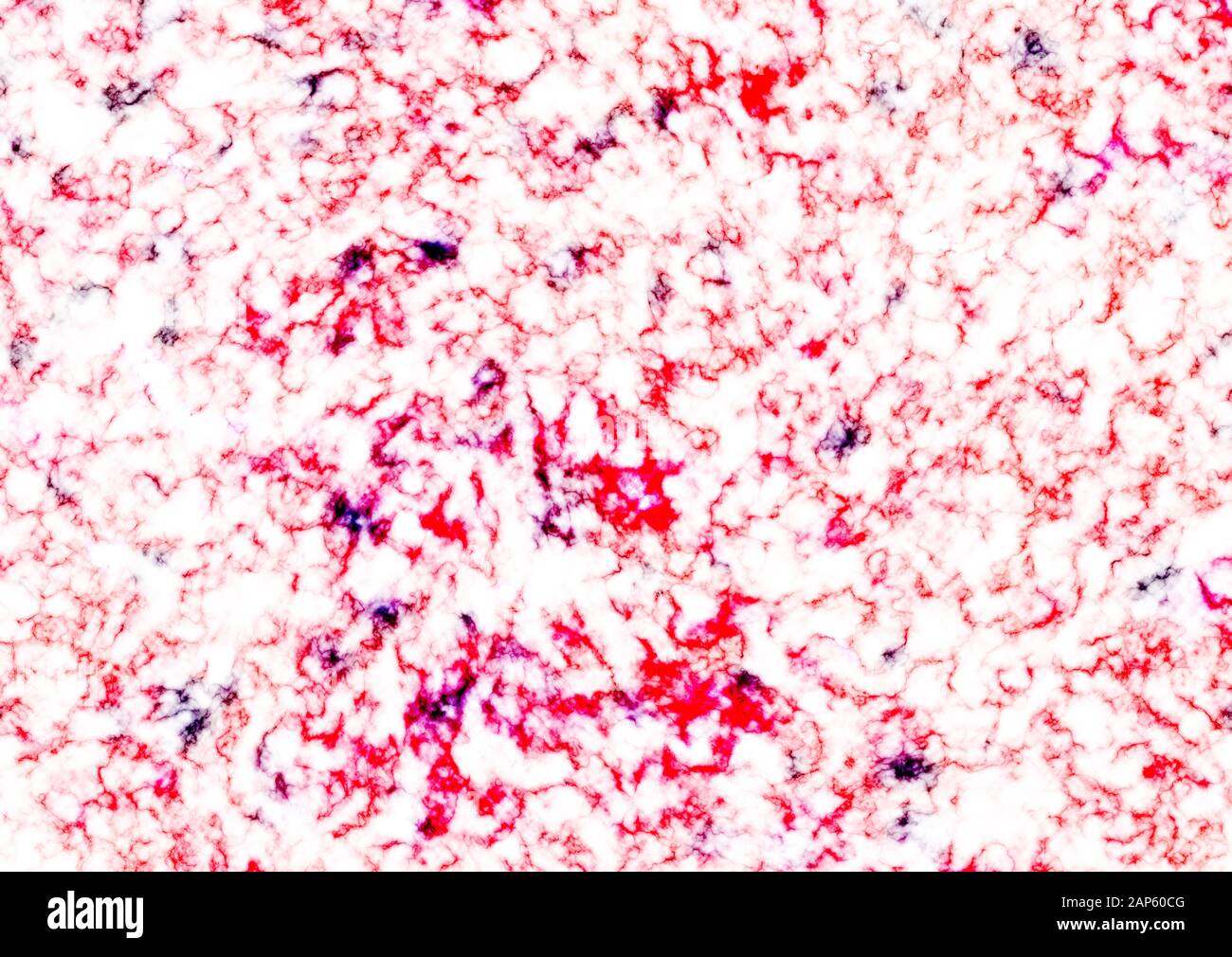 Abstract red marble seamless texture hi-res stock photography and ...