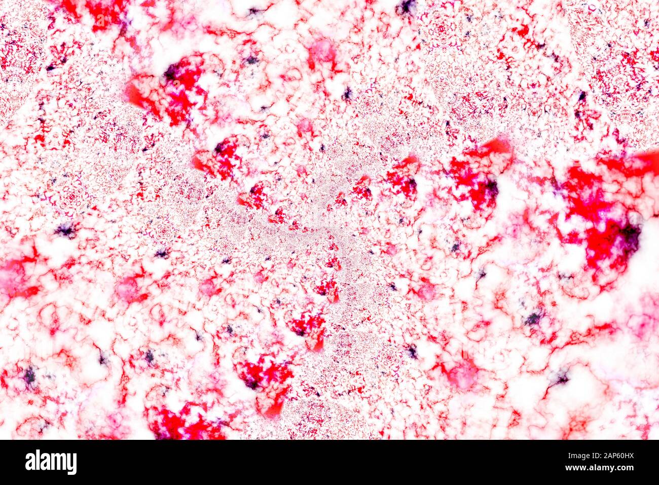 Abstract red marble seamless texture hi-res stock photography and ...