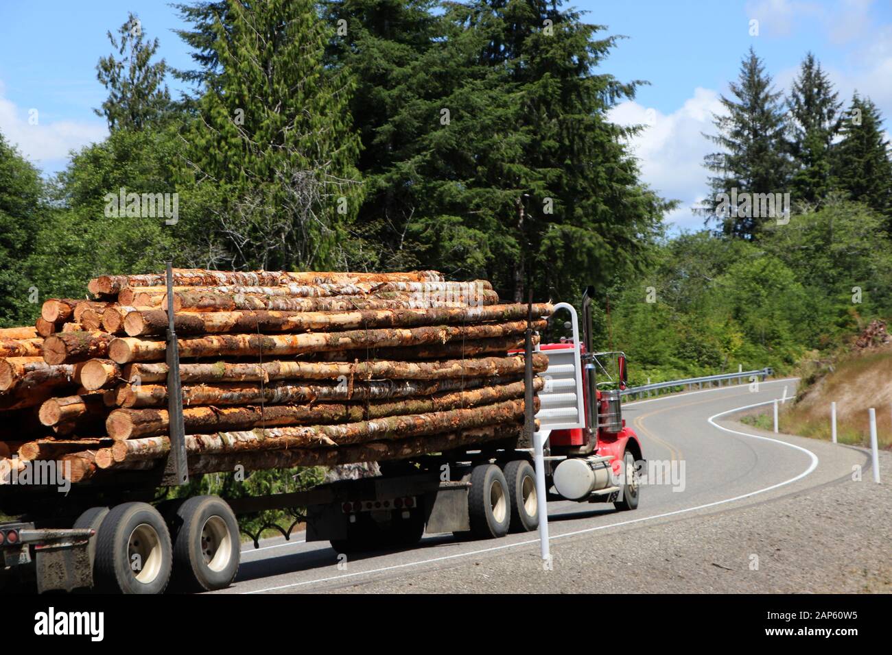 Truck with harvested trees Clear cut logging Olympic Peninsula Stock ...