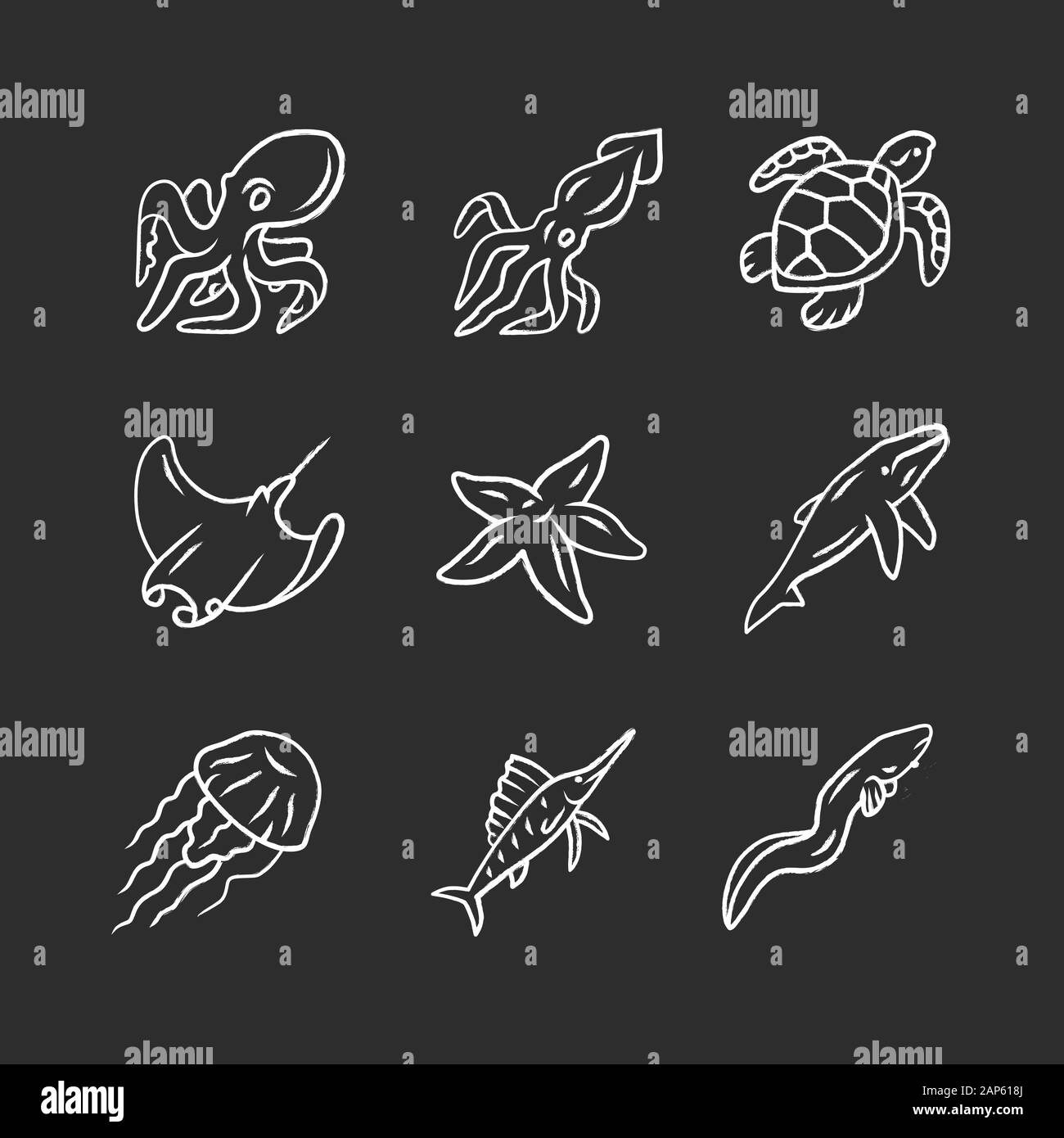 Sea animals chalk icons set. Swimming octopus, starfish, squid ...