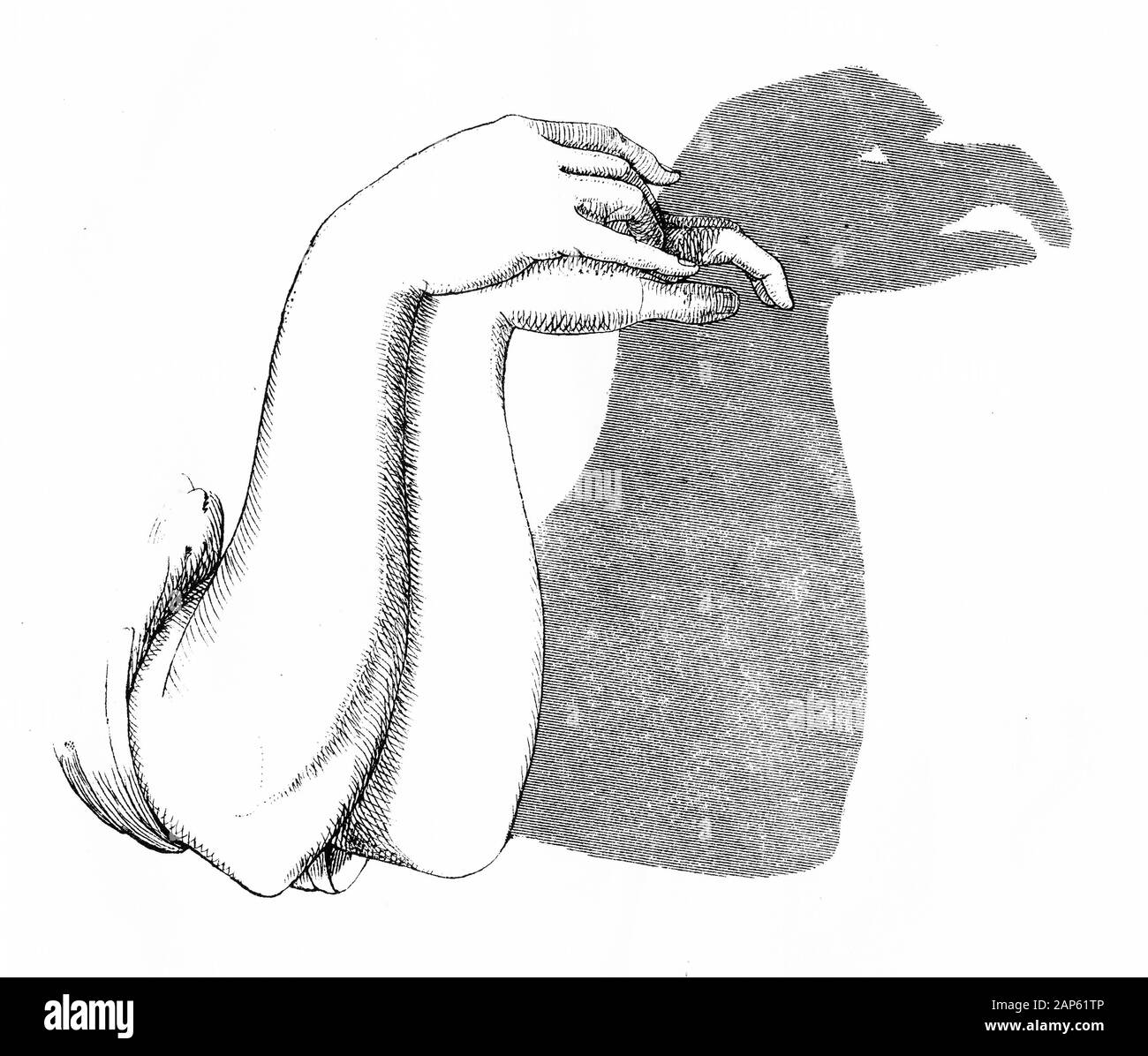 Henry bursills hand shadows hi-res stock photography and images - Alamy