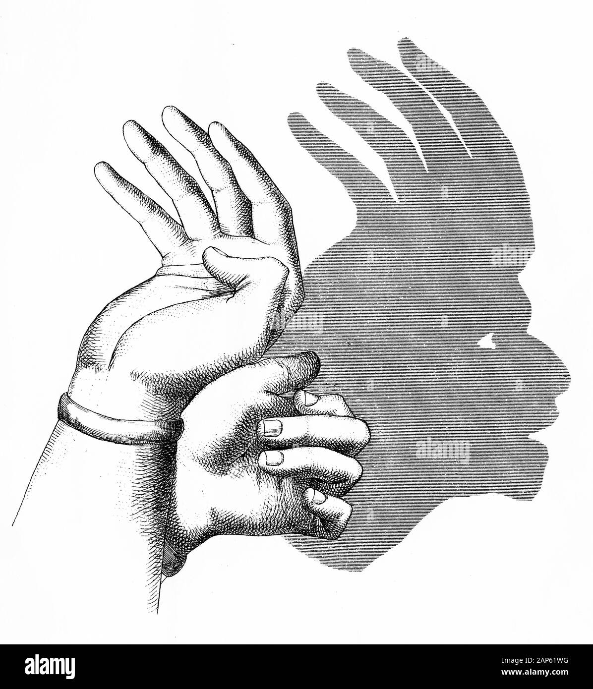 Engraving of a hand shadow of an American Indian wearing a feather head ...