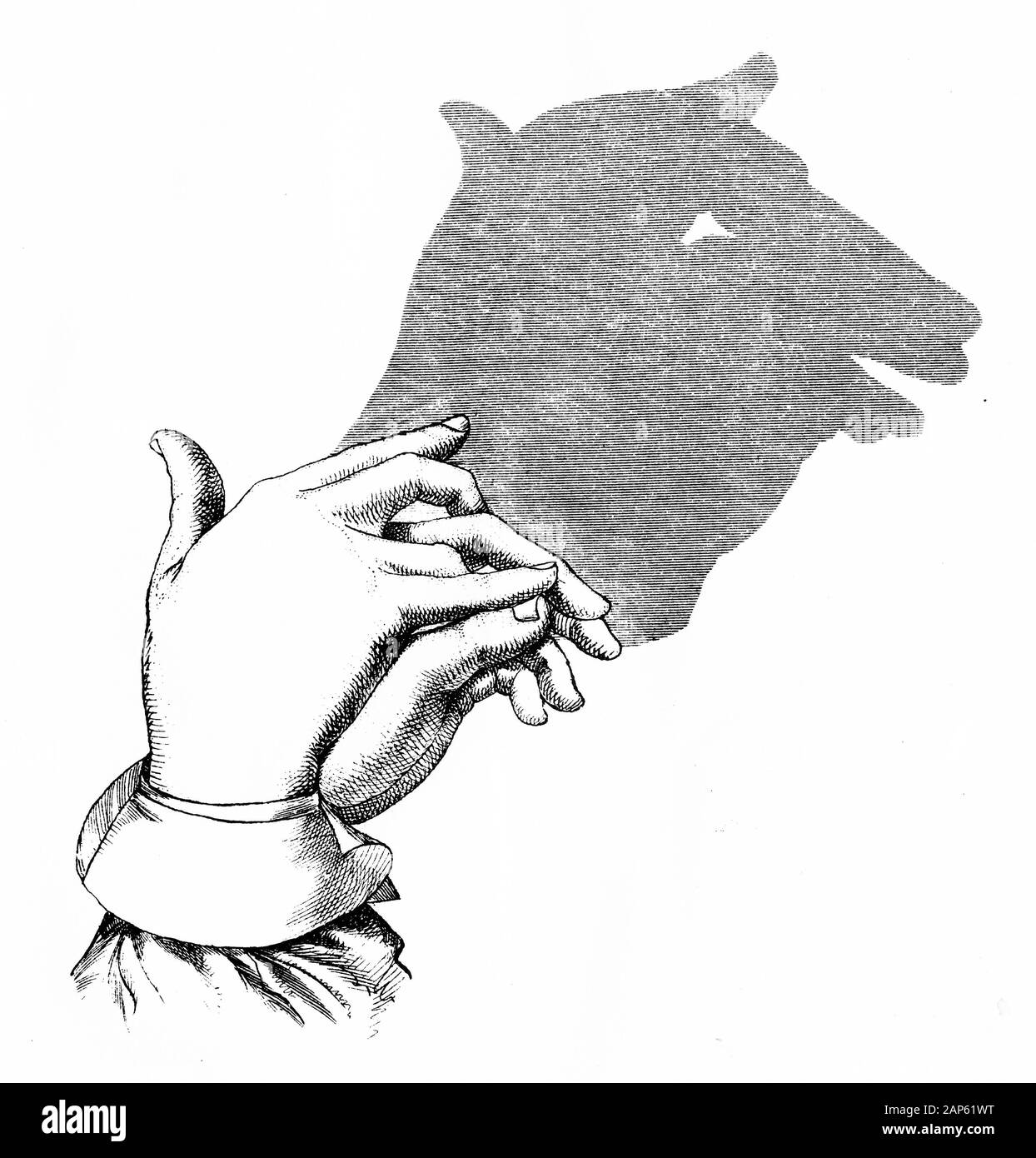 Henry bursills hand shadows hi-res stock photography and images - Alamy