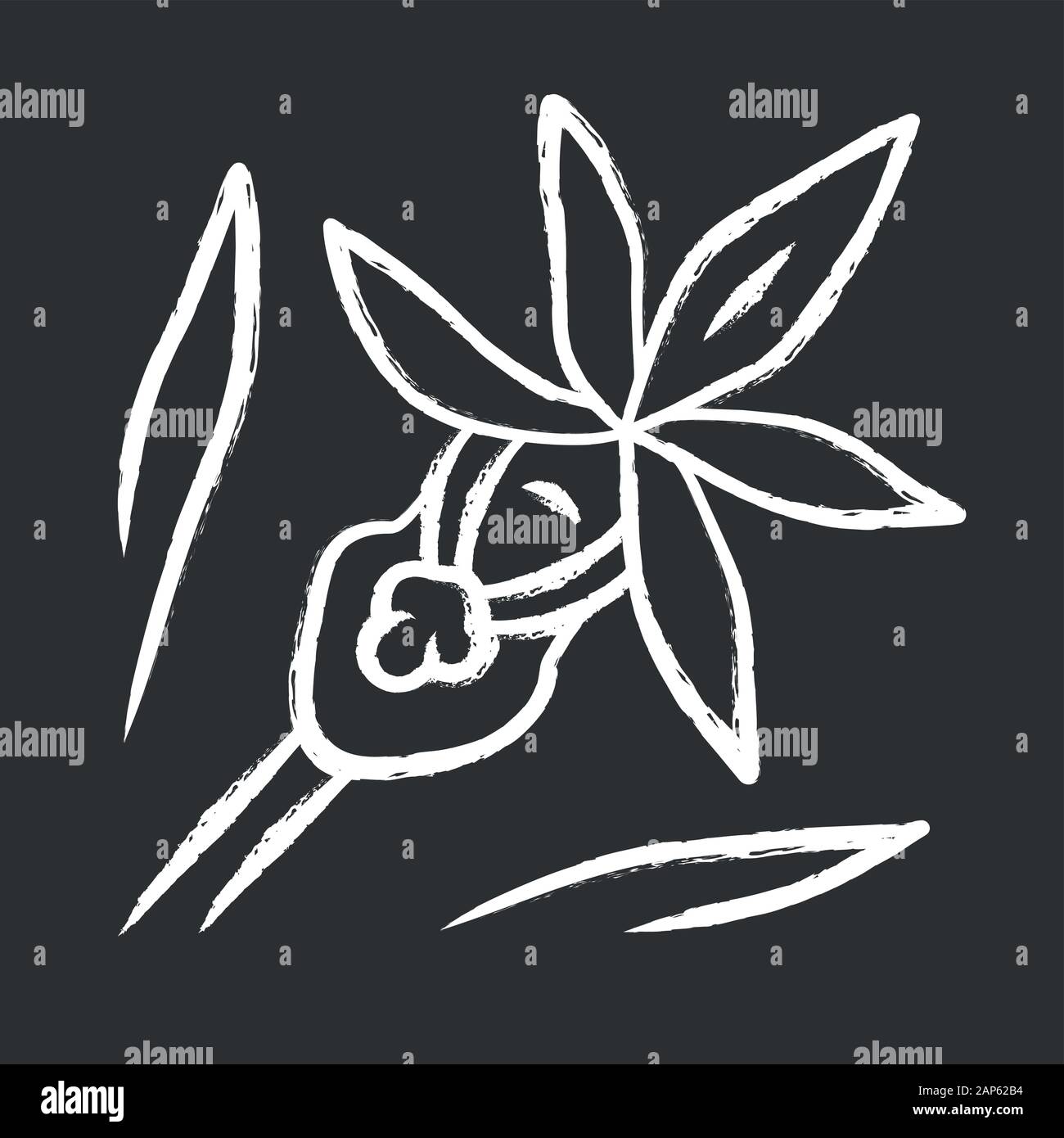 Calypso orchid chalk icon. Exotic, tropical blooming flower. Fairy ...