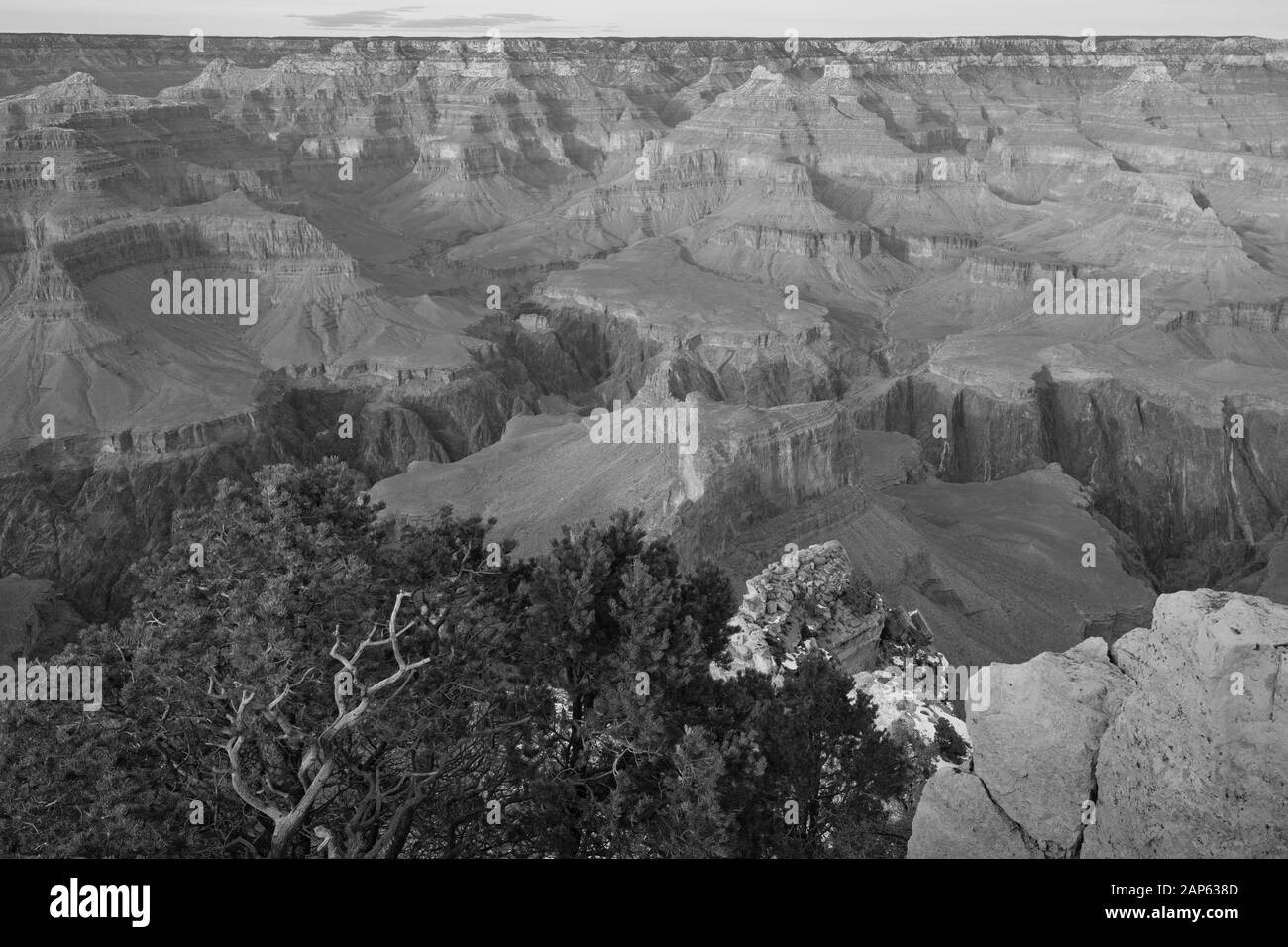 Hopi Point, Grand Canyon National Park, Arizona, USA Stock Photo - Alamy