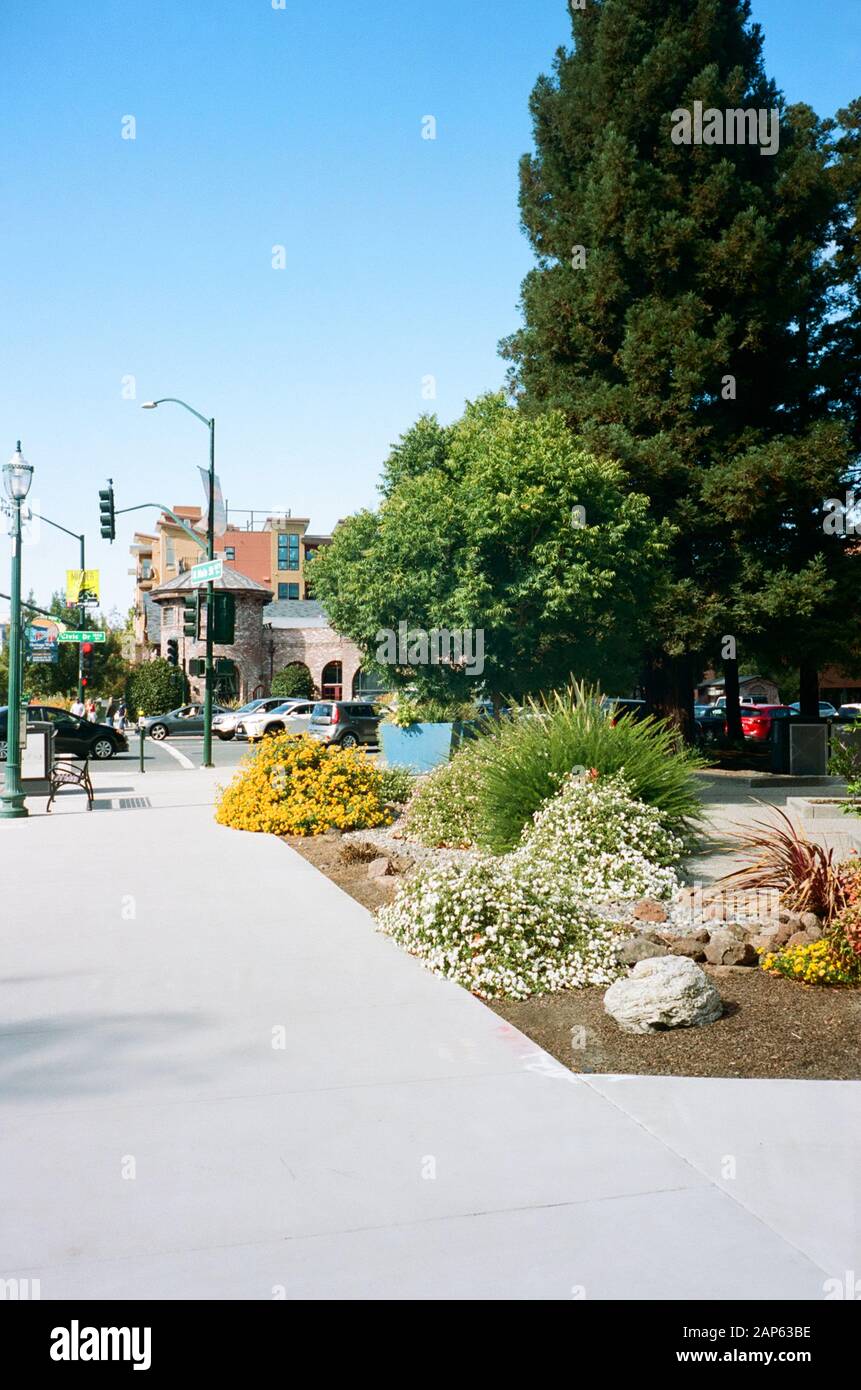 Landscaping is visible along Main Street in downtown Walnut Creek ...
