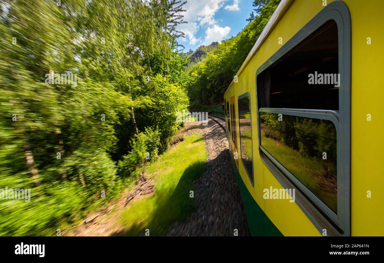 Train ride, view from a window. Old train passing green vegetation ...