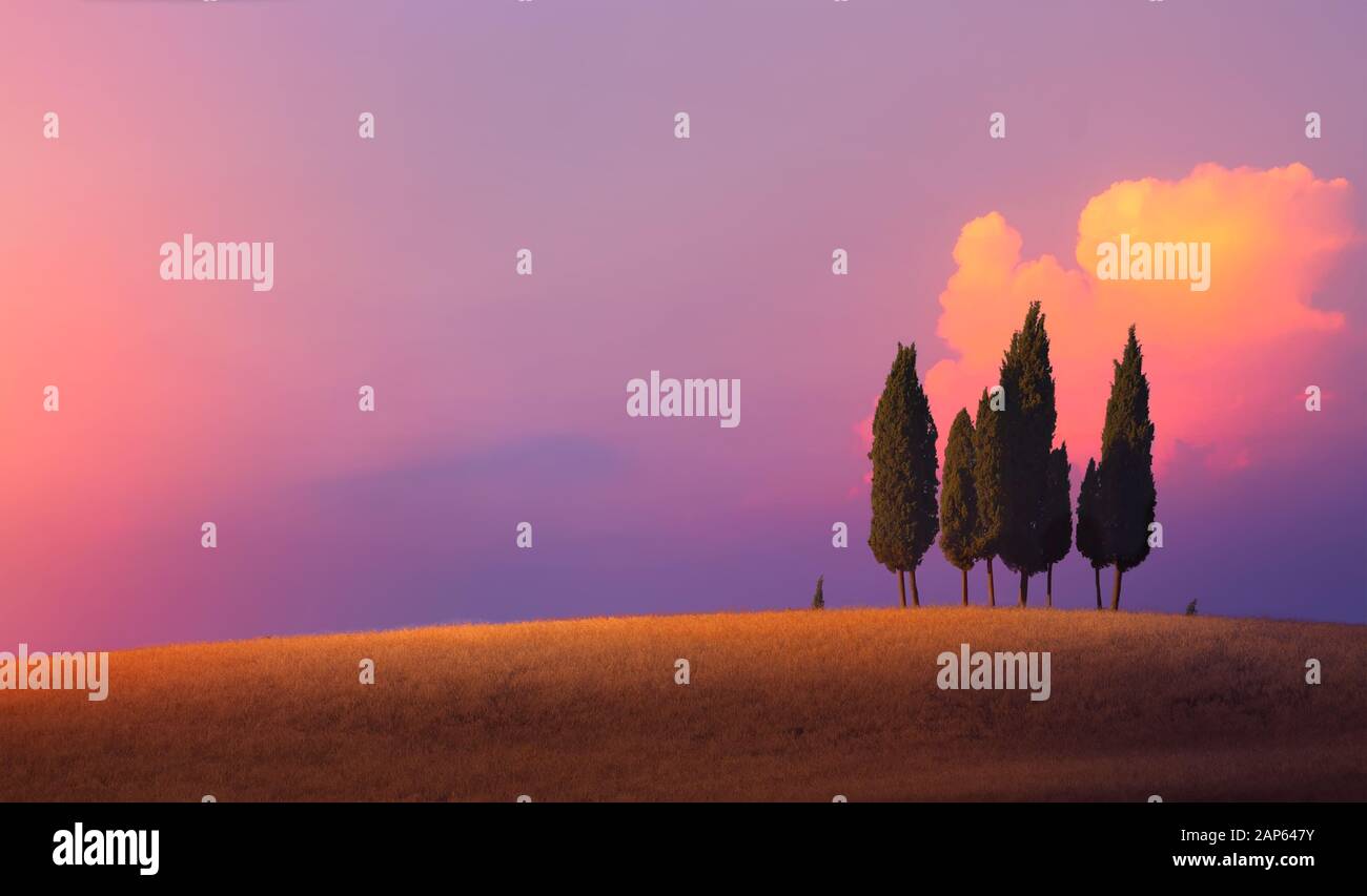 Tree trees farm land dawn hi-res stock photography and images - Alamy