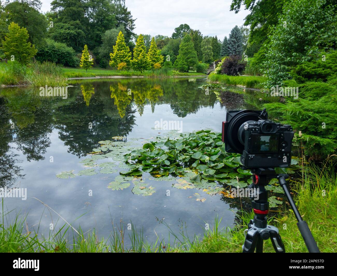 Photo shoot in pond hi-res stock photography and images - Alamy
