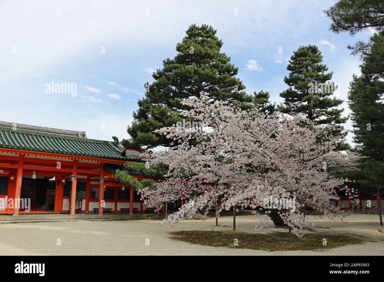 Hanami kyoto hi-res stock photography and images - Alamy