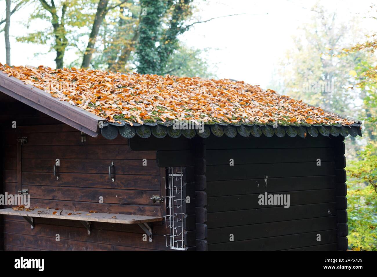 Roofing with different materials is overgrown with moss and other ...