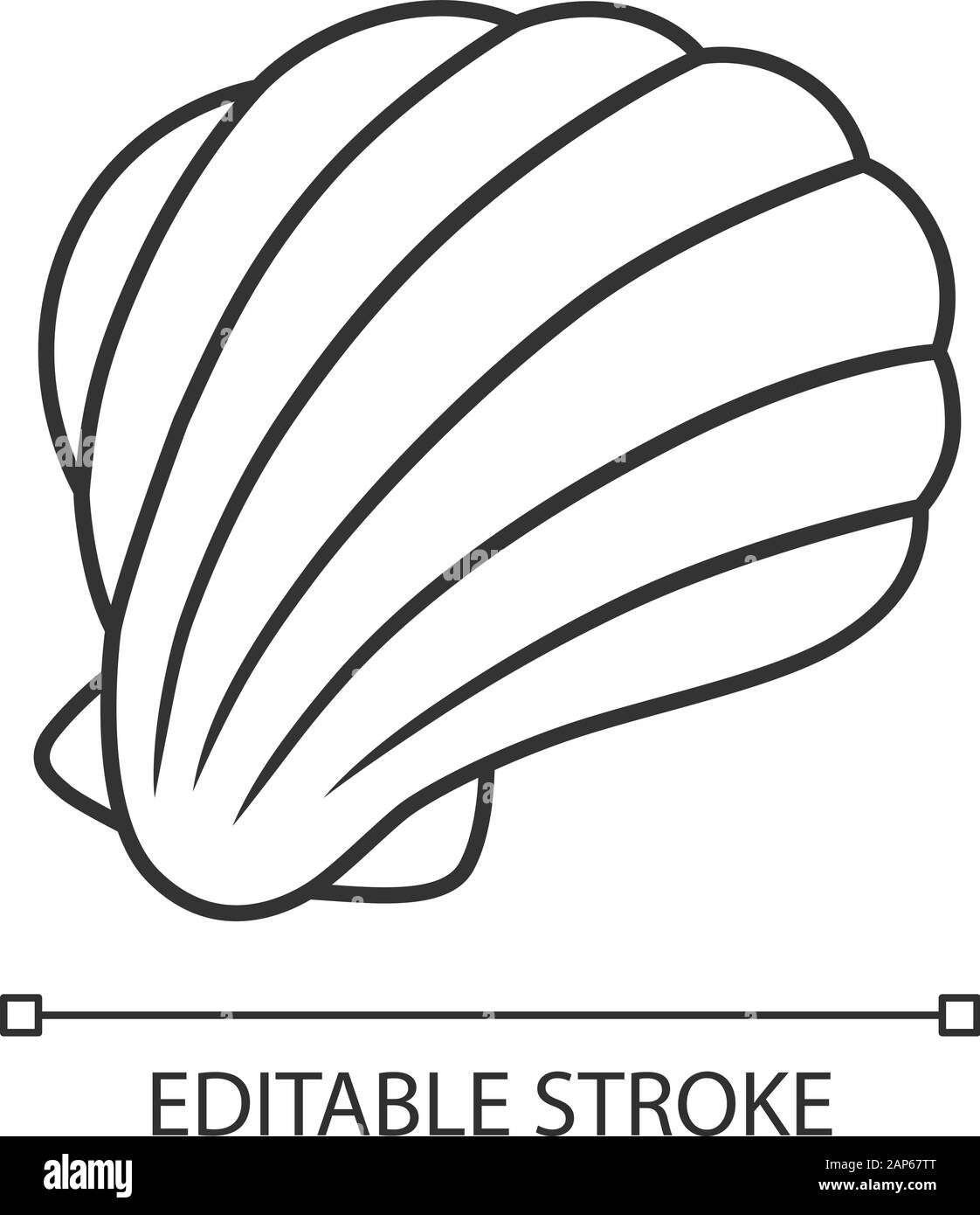 Thin Shells Clip Art