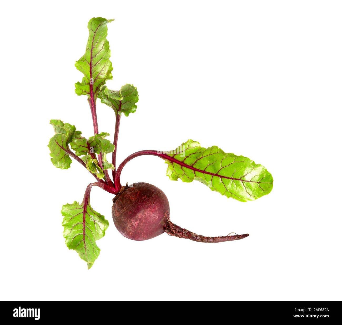 Beetroot with leaves, fresh whole beet isolated on white background ...