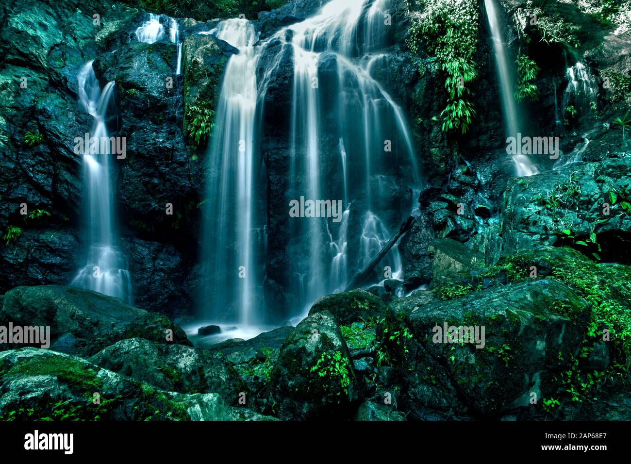 Tobago, a remote, caribbean island Stock Photo - Alamy