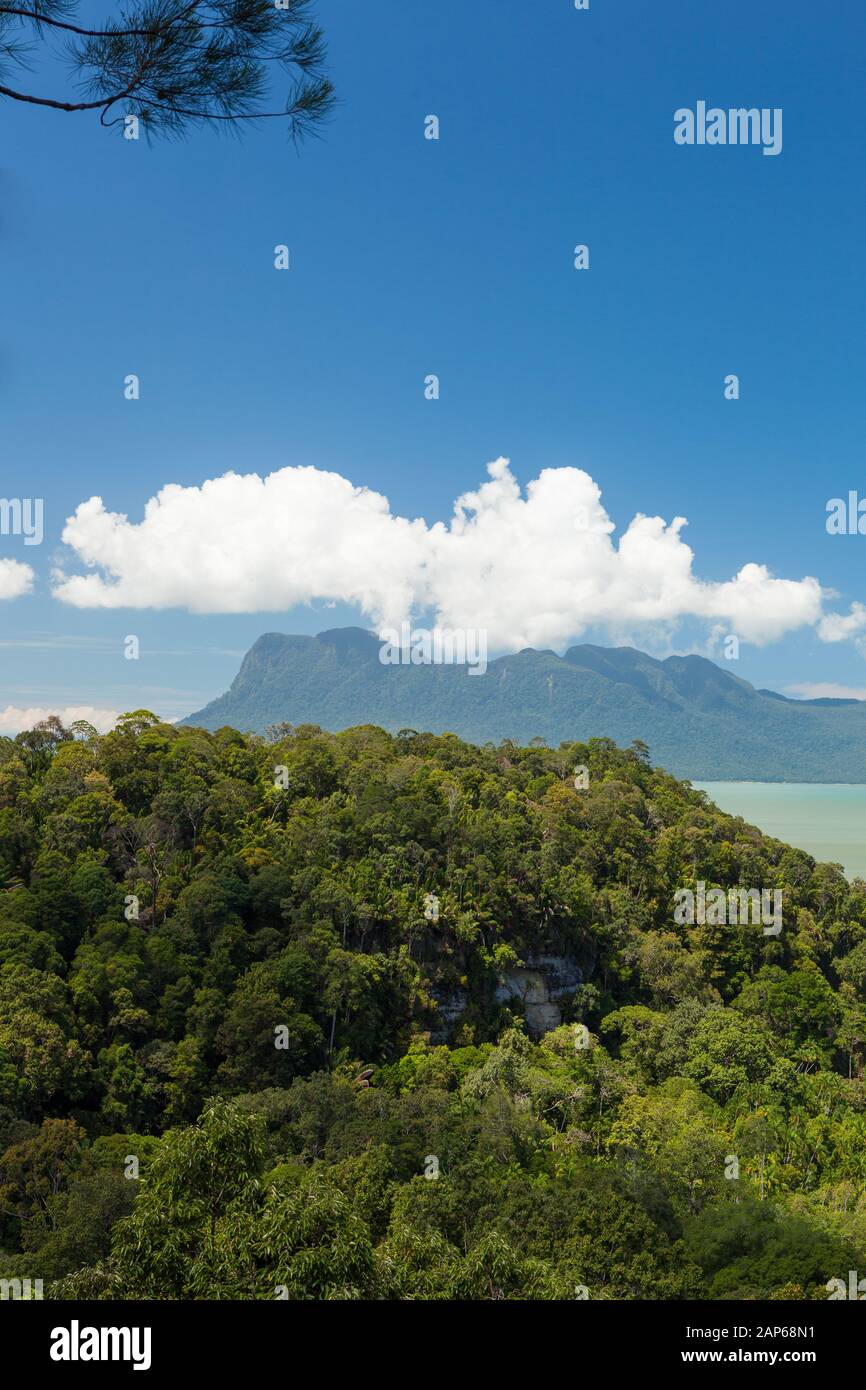 Aerial of jungle hi-res stock photography and images - Alamy