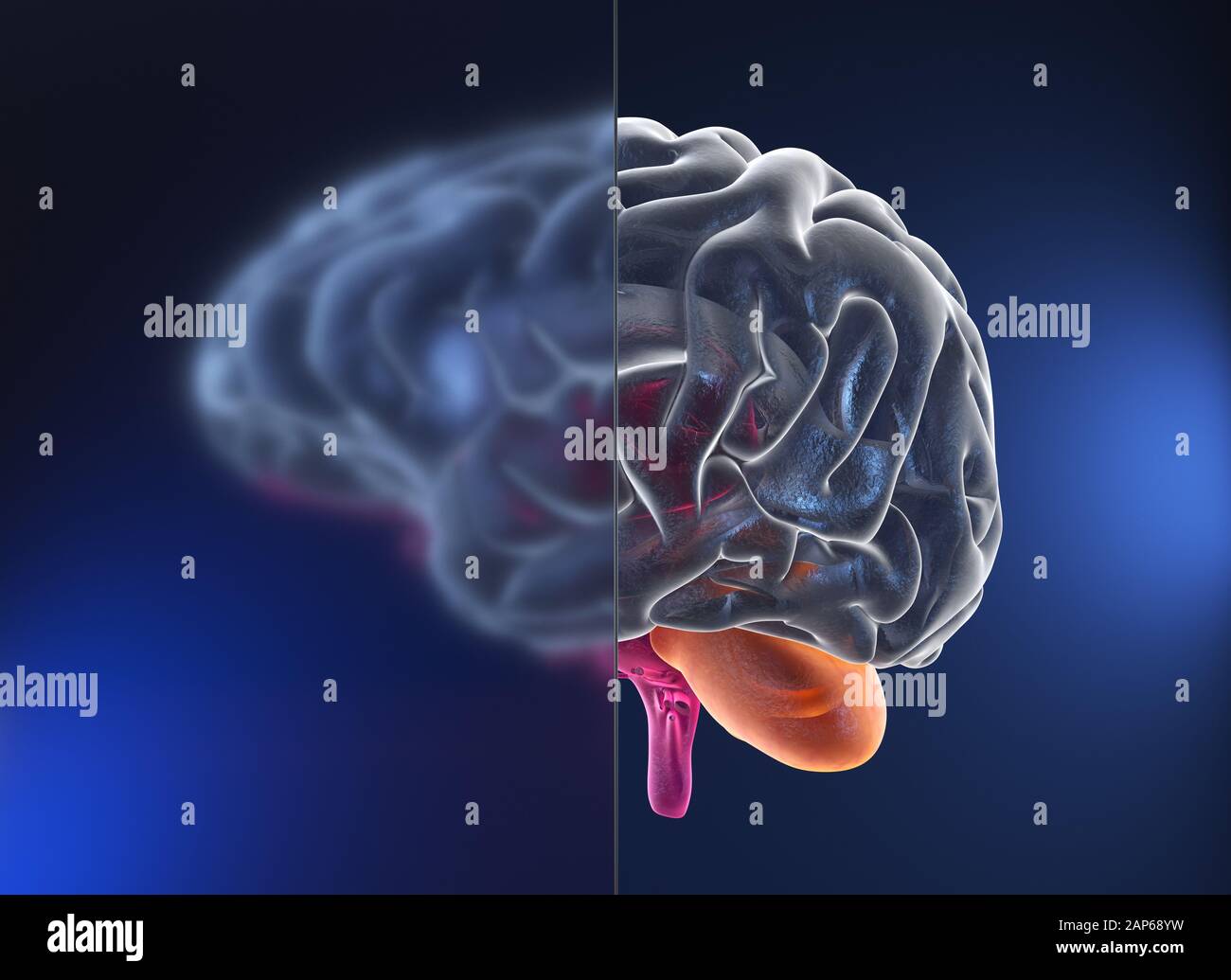 States of mind. 3D illustration Stock Photo - Alamy