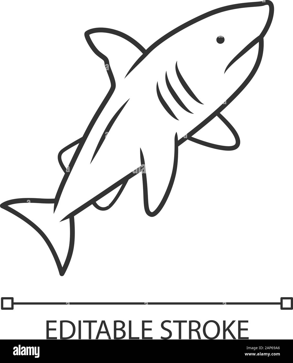 Shark Predation Drawing