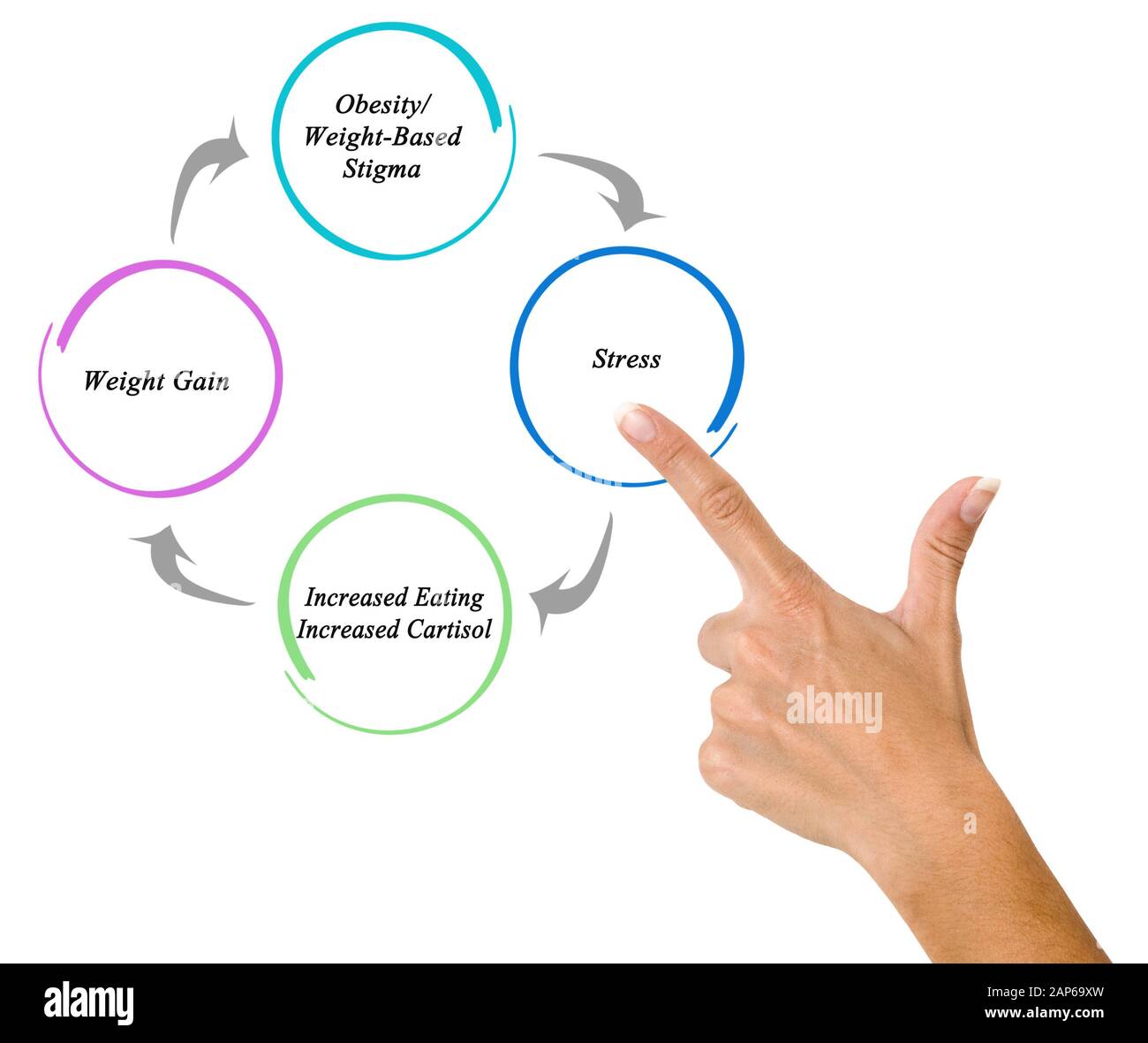 Cycle of Obesity / Weight-Based Stigma Stock Photo - Alamy