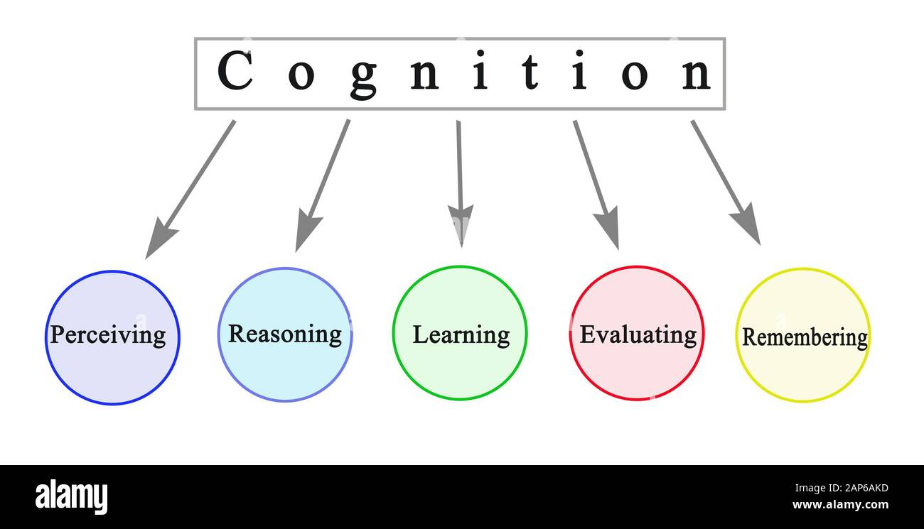 Five Components of Cognition Stock Photo - Alamy