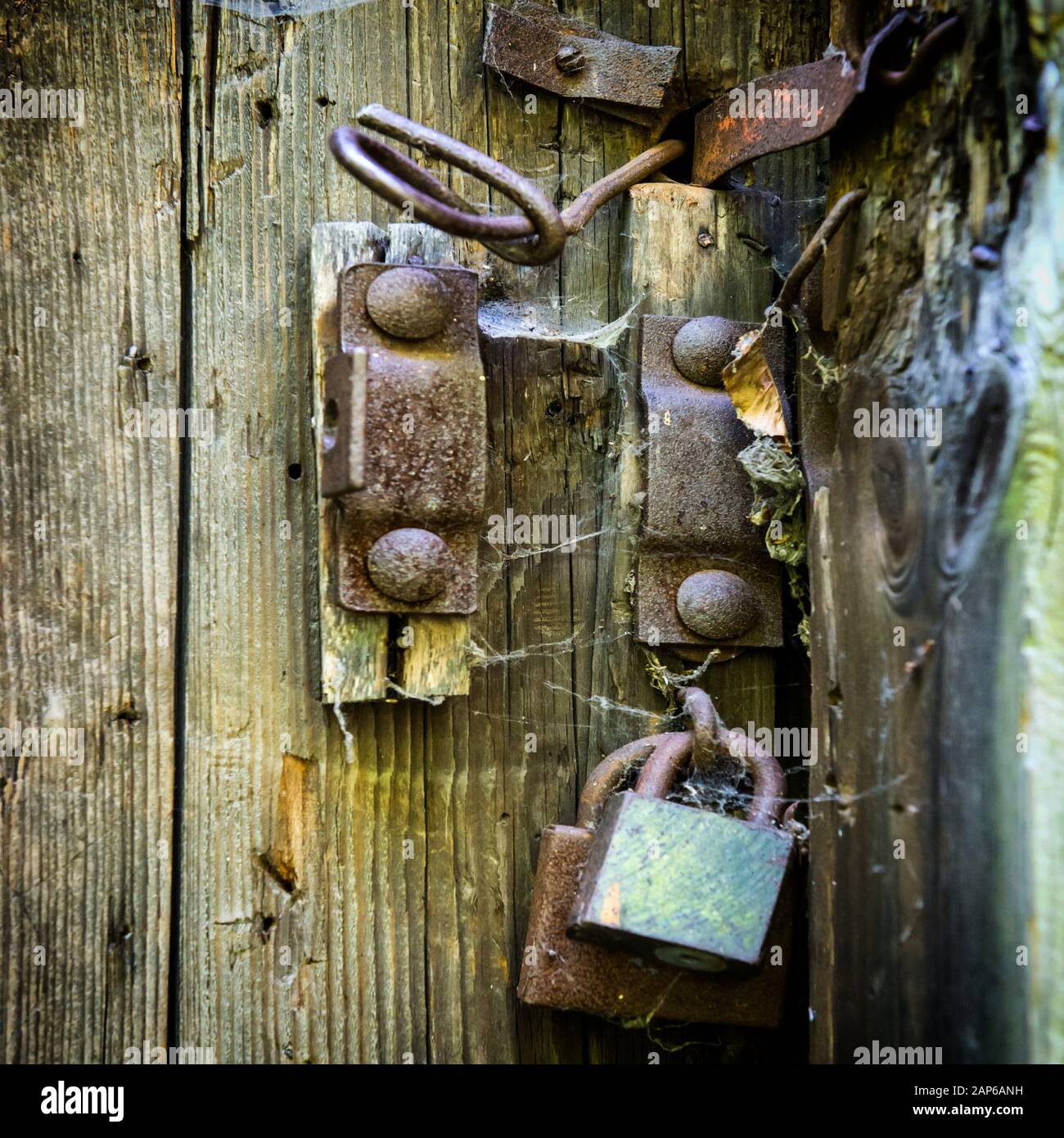 Retro wooden door with old rusty lock Stock Photo - Alamy