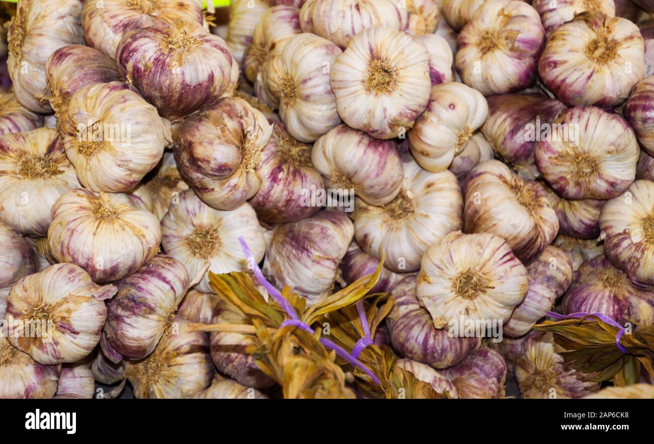 Full frame close up of heap of countless raw garlic bulbs on french ...