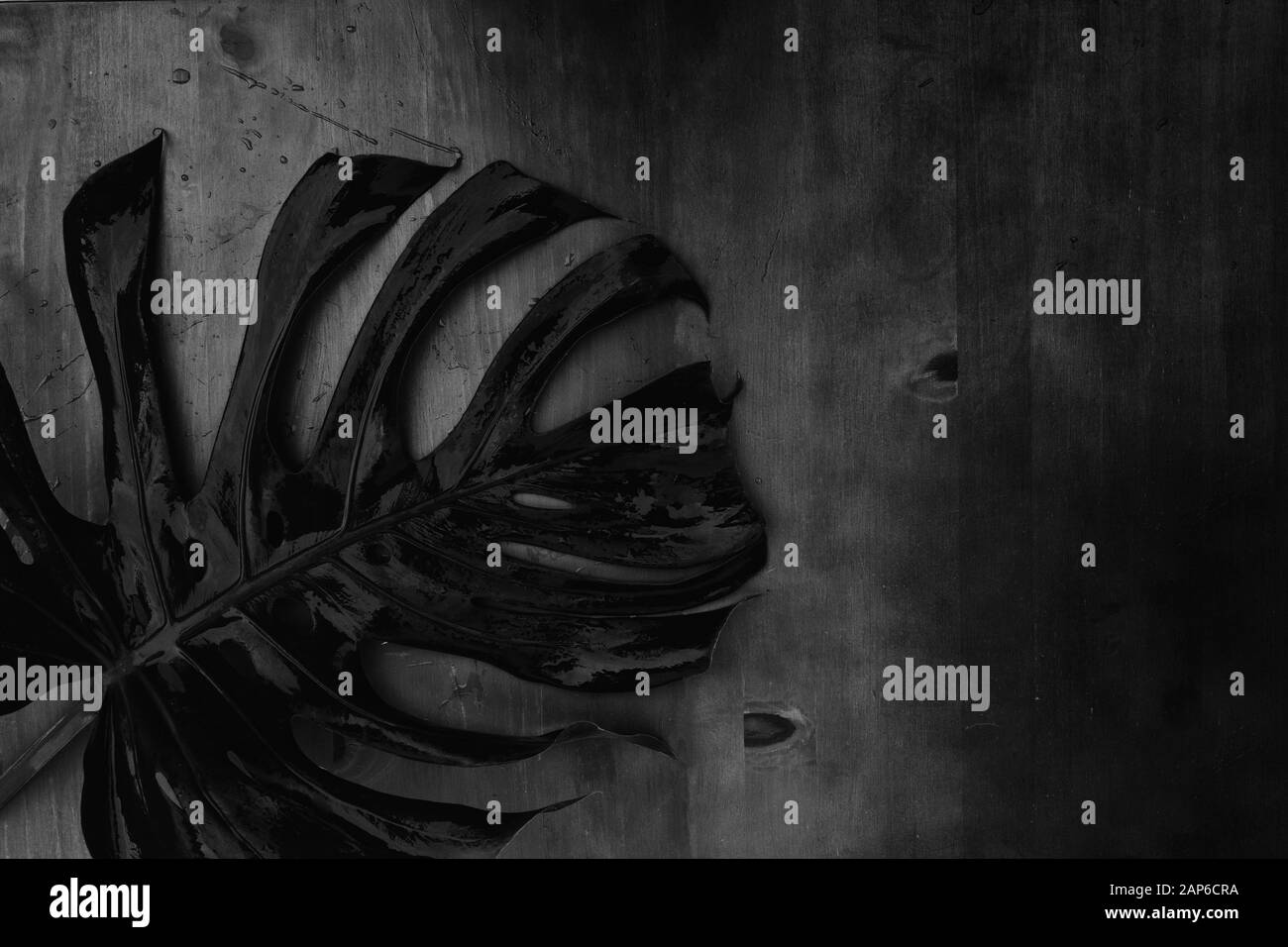 Flat lay leaves background Black and White Stock Photos & Images - Alamy