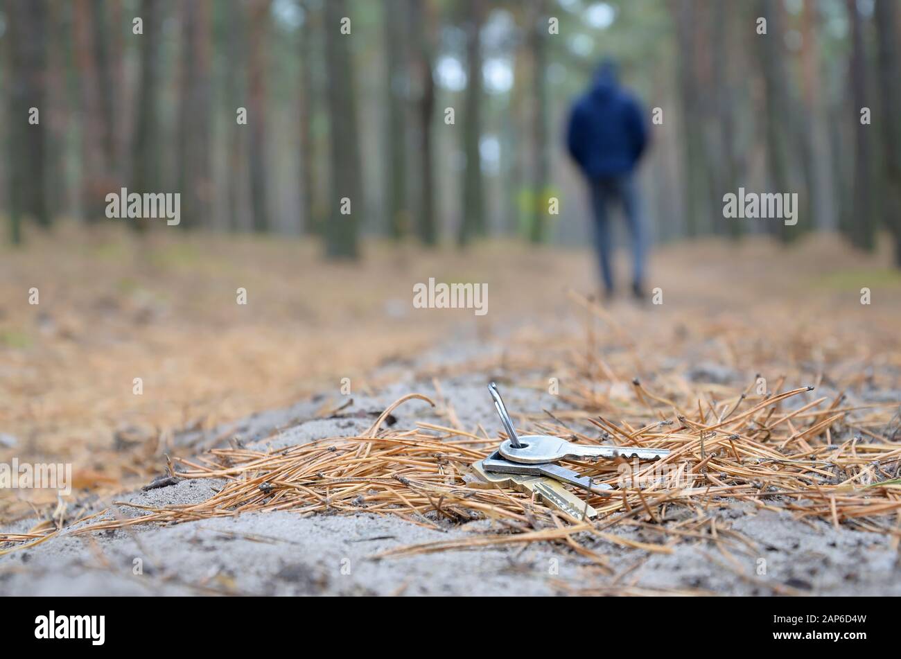 Young boy loses his keys bunch on Russian autumn fir wood path ...