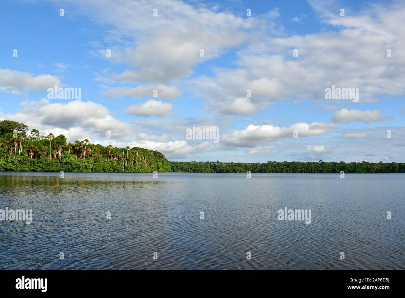 Lake Sandoval, Tambopata National Reserve, Peru, South America Stock ...