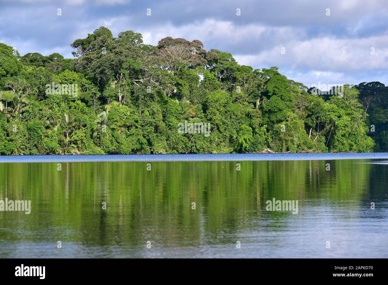 Lake Sandoval, Tambopata National Reserve, Peru, South America Stock ...