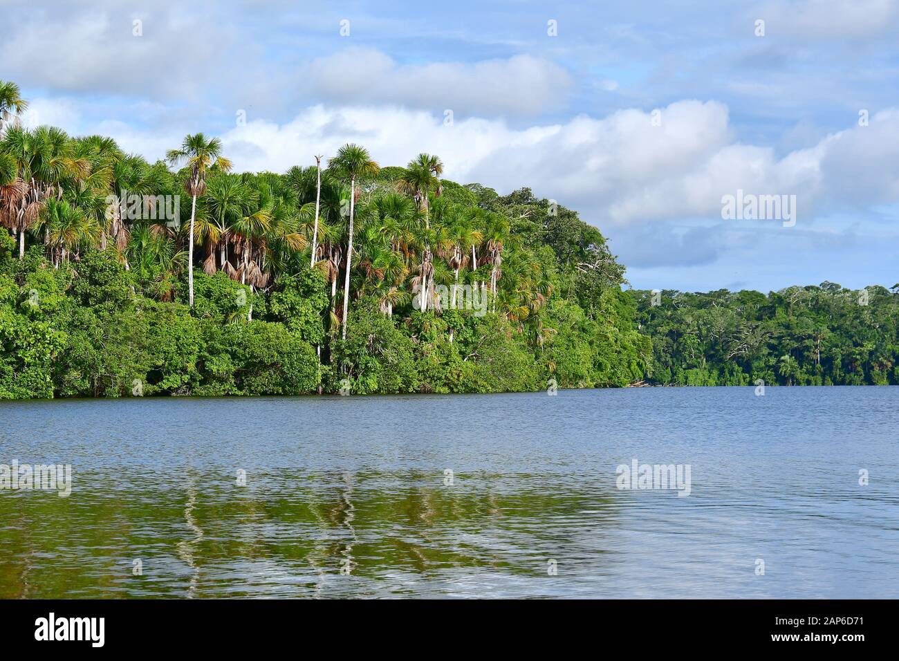 Lake Sandoval, Tambopata National Reserve, Peru, South America Stock ...