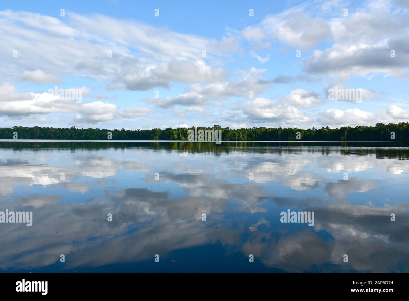 Lake Sandoval, Tambopata National Reserve, Peru, South America Stock ...