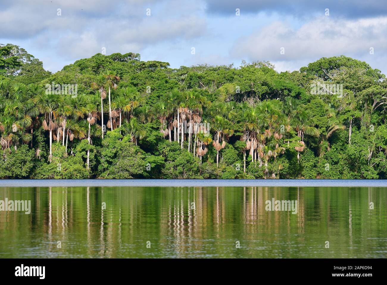 Lake Sandoval, Tambopata National Reserve, Peru, South America Stock ...