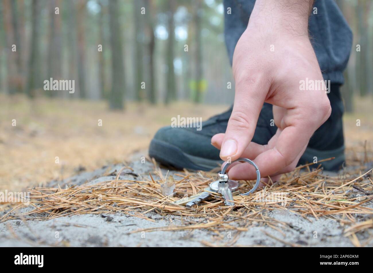 Male hand picking up a lost keys from a ground in autumn fir wood path ...