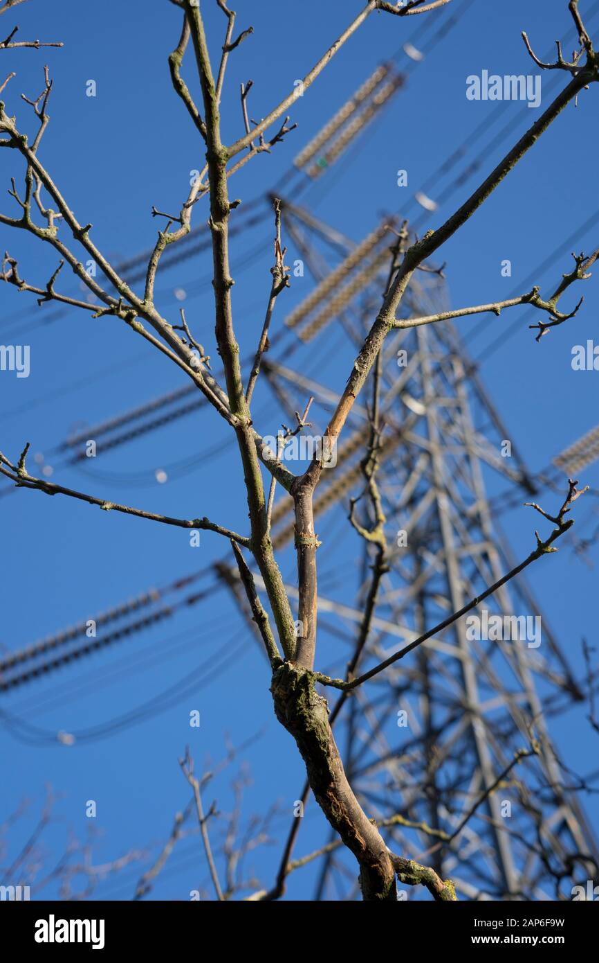 Electricity pylons in Birmingham, England,UK Stock Photo - Alamy