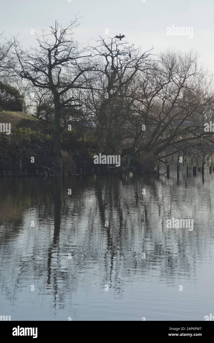 Walthamstow Wetlands nature reserve,London,England,UK Stock Photo - Alamy
