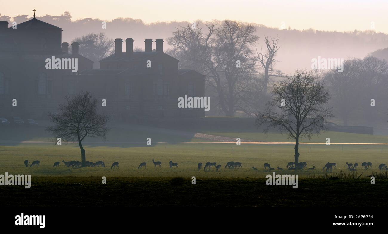 Holkham hall hi-res stock photography and images - Alamy