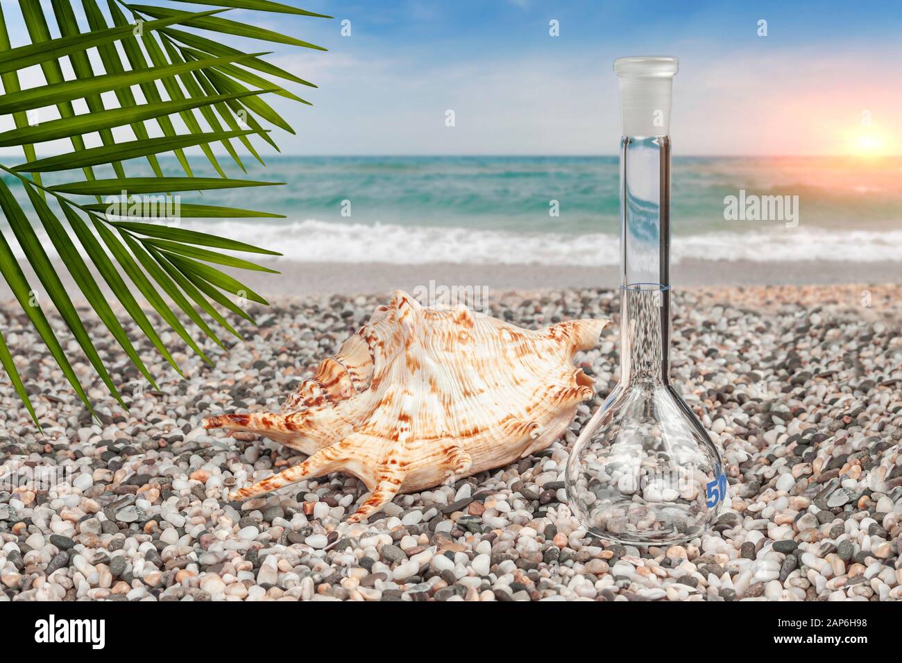 Seashell with a chemical flask on the sandy seashore. The concept of ...