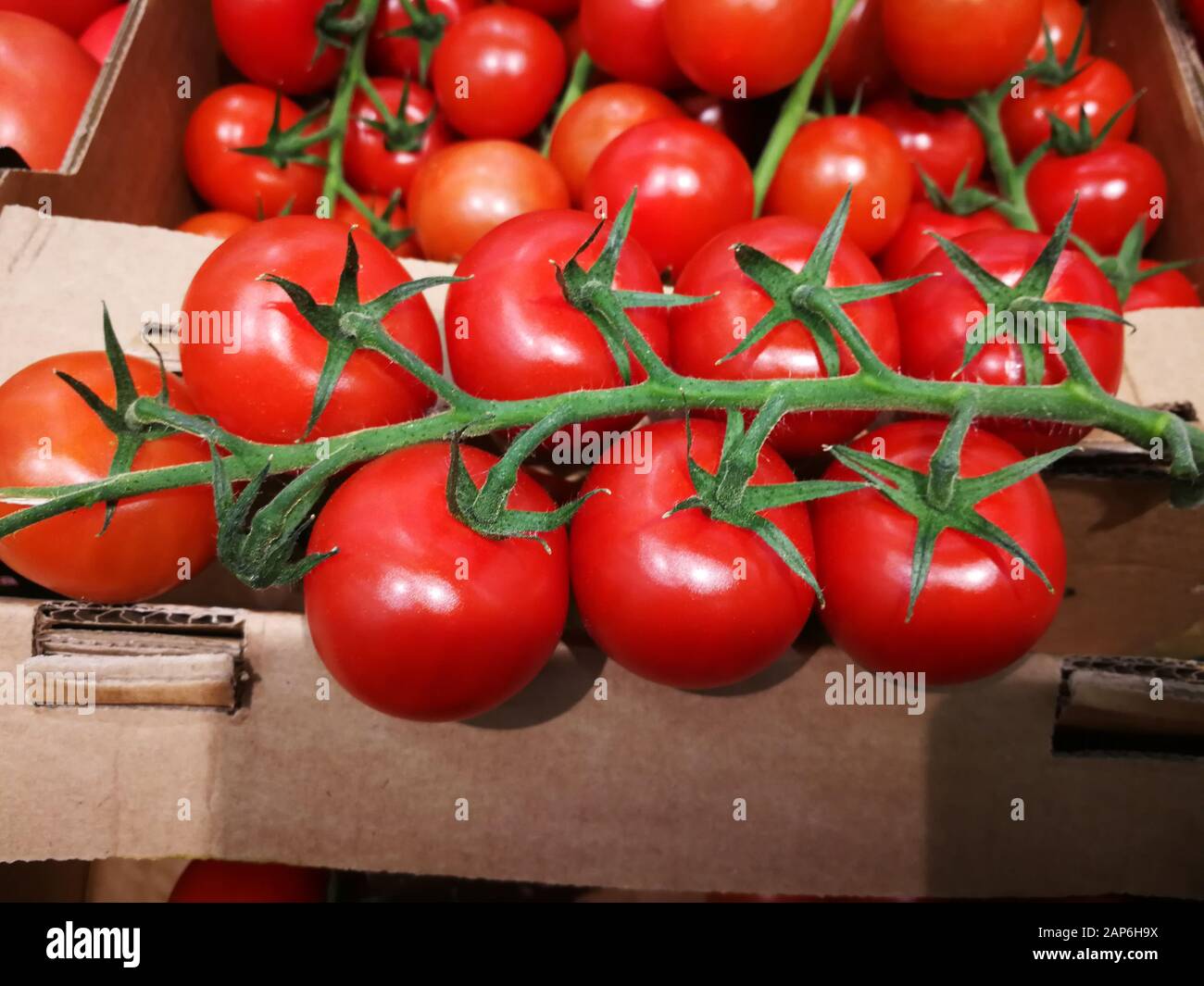 Crates Of Tomato. Packing products for export Stock Photo - Alamy
