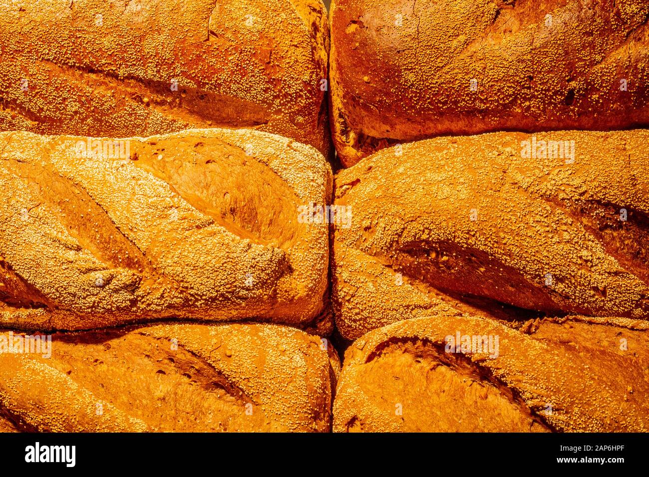 Six loafs of Oven Baked Bread on a row close-up Stock Photo - Alamy