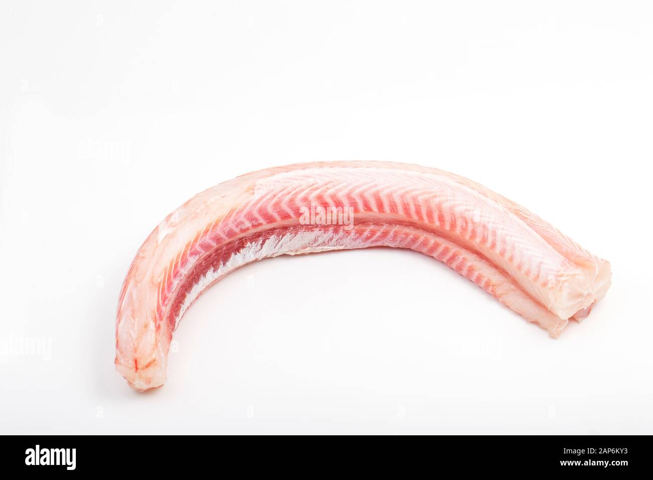 Raw, lesser-spotted dogfish, Scyliorhinus canicula, caught on rod and ...